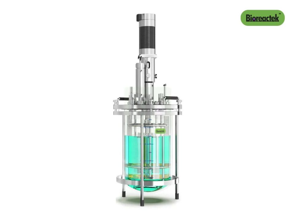 Autoclaves para esterilización de biorreactores | RAYPA